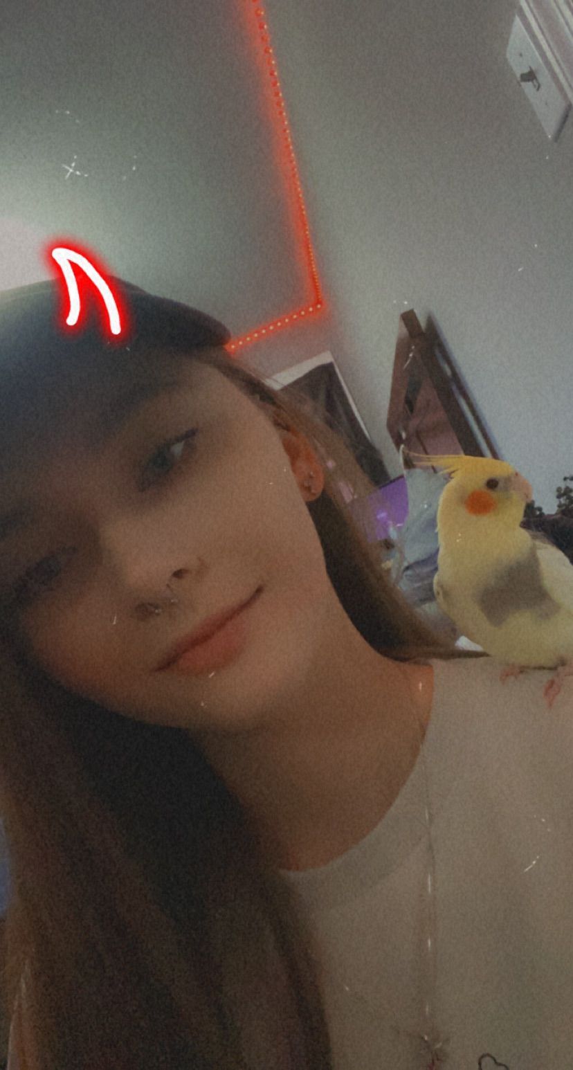Available for services 🦜💞 - E-Pal Topics